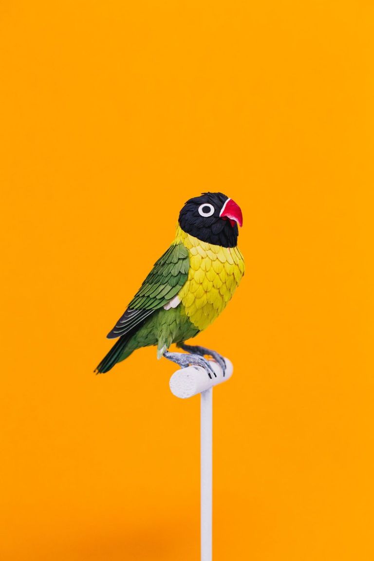 Papercraft Birds Beautiful Bird Made Of Paper Papersculptures â ...
